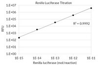 Renilla Luciferase Assay | SCT153
